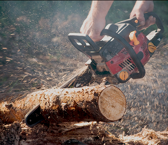 ARNOLD LENDE DRURI – Prodhim druri, lende druri e perpunuar, mobileri ...
